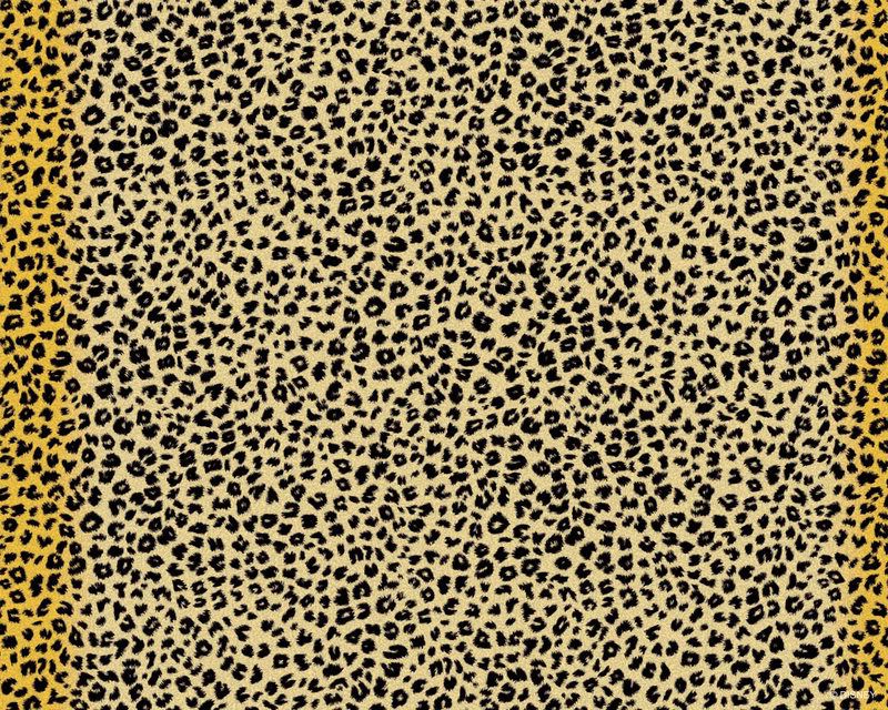 Cheetah Print Graphics Code Cheetah Print Comments Pictures