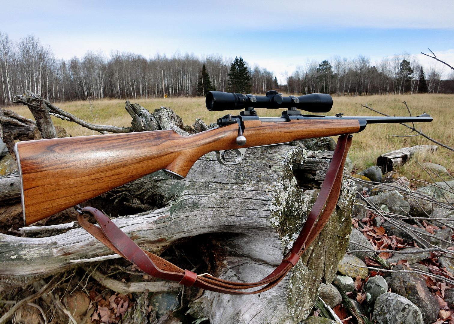 First rust bluing | Rimfire Central Firearm Forum