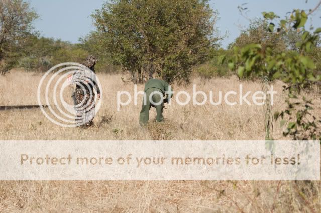 African Trackers I « Adventurousbowhunter