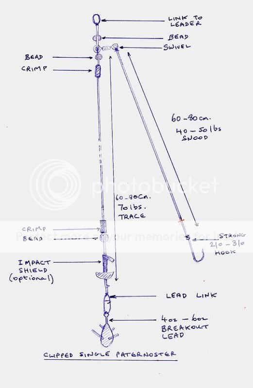 Sea Angling - Page 16 - Hayling Forum