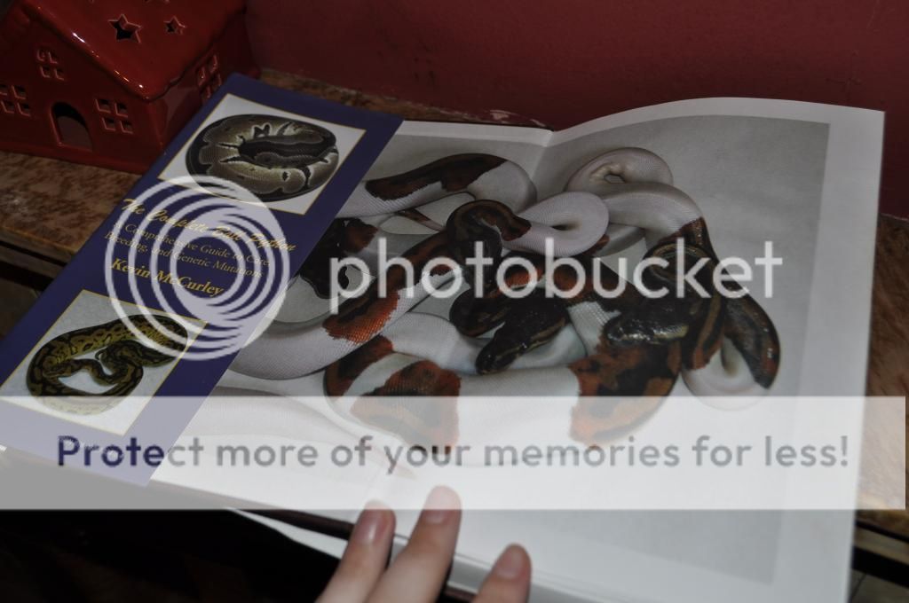 The Complete Ball Python book by Kevin Mccurley | Reptile Forums