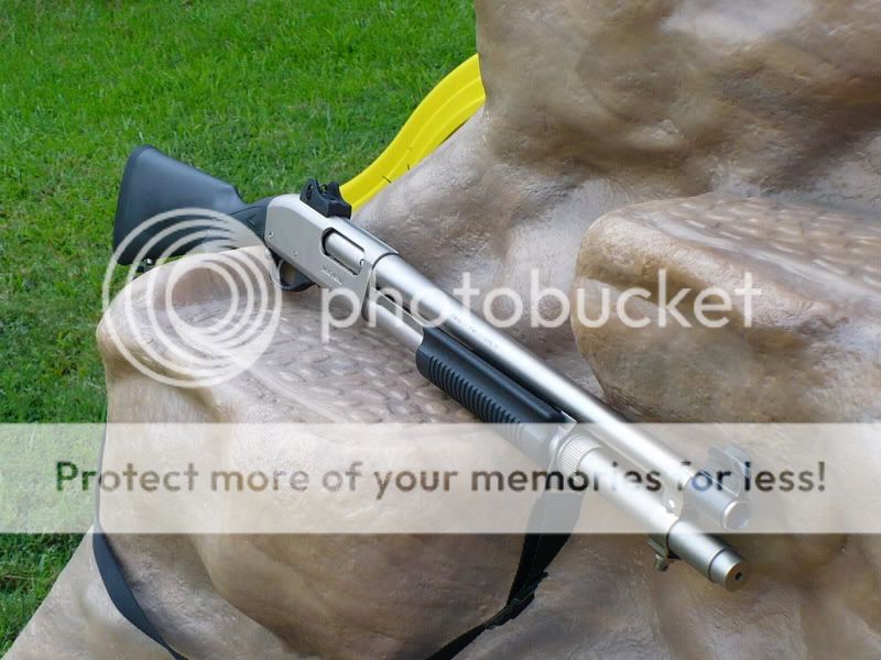 Band style front sights? - AR15.COM