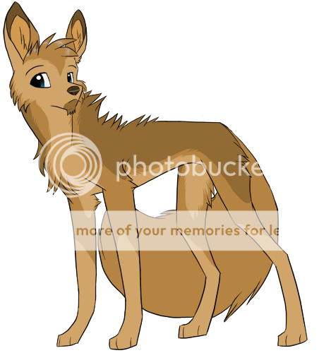 View topic - Australian Bat-Eared Wolves [closed] - Chicken Smoothie