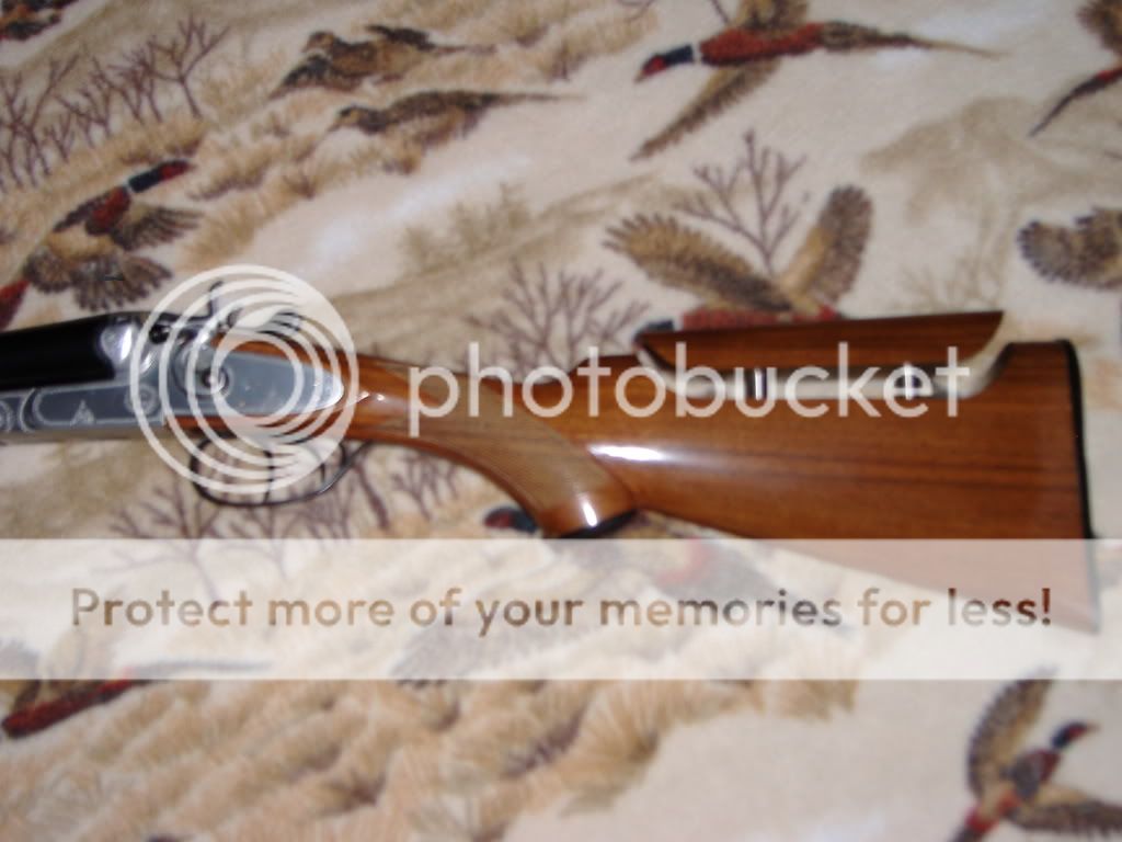 Raising Comb Height | Shotgun Forum