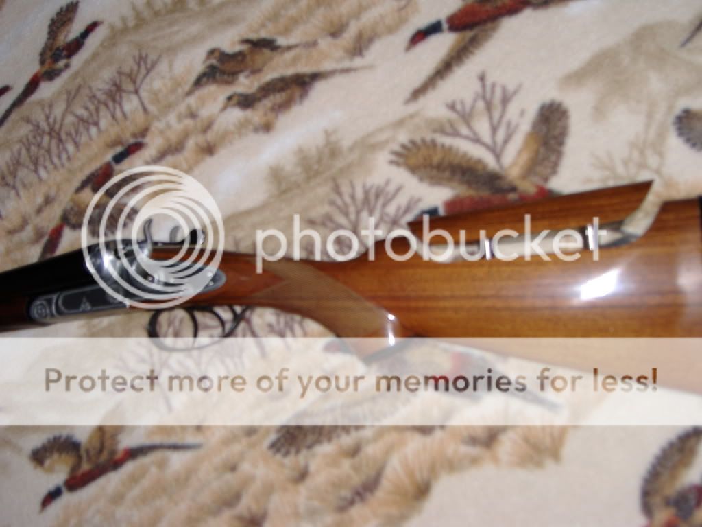 Raising Comb | Shotgun Forum