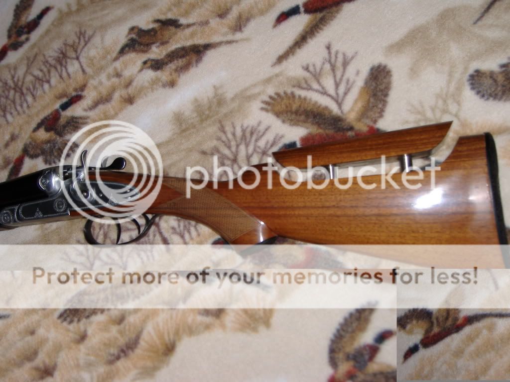 Raising Comb Height | Shotgun Forum