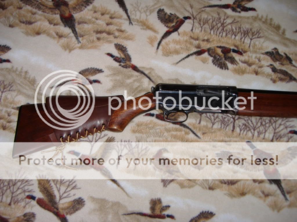 Raising Comb Height | Shotgun Forum